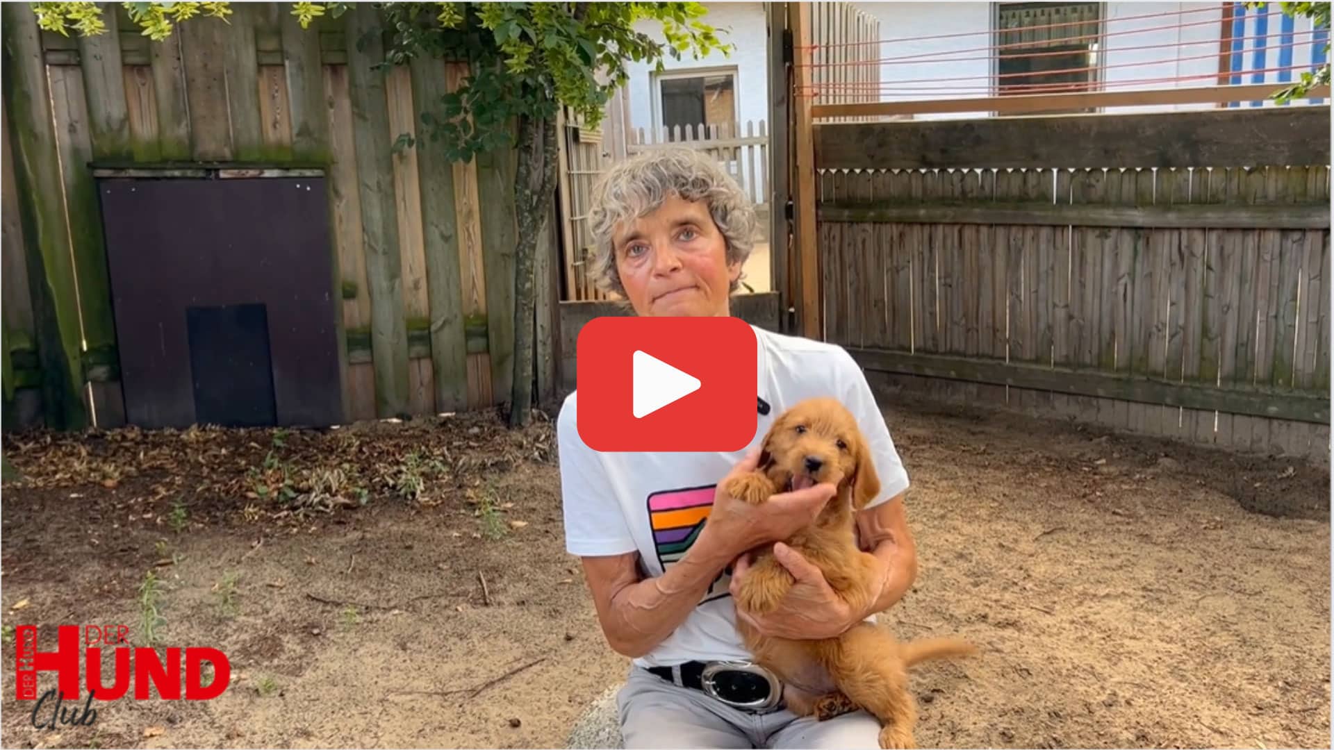 Bewusstes und unterbewusstes Lernen (1/2) – mit Marion Terhaar | DER ...